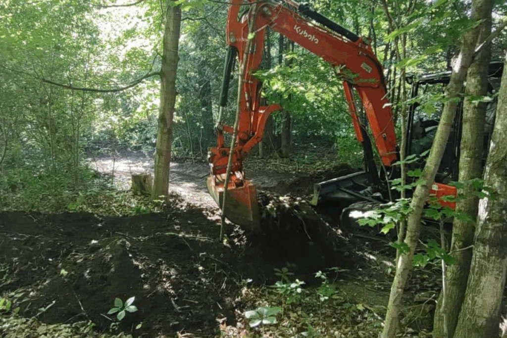 Excavating Around Trees: How to Protect Root Systems