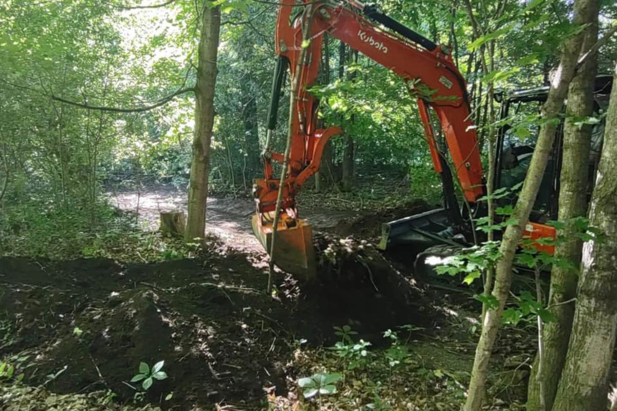 Excavating Around Trees: How to Protect Root Systems